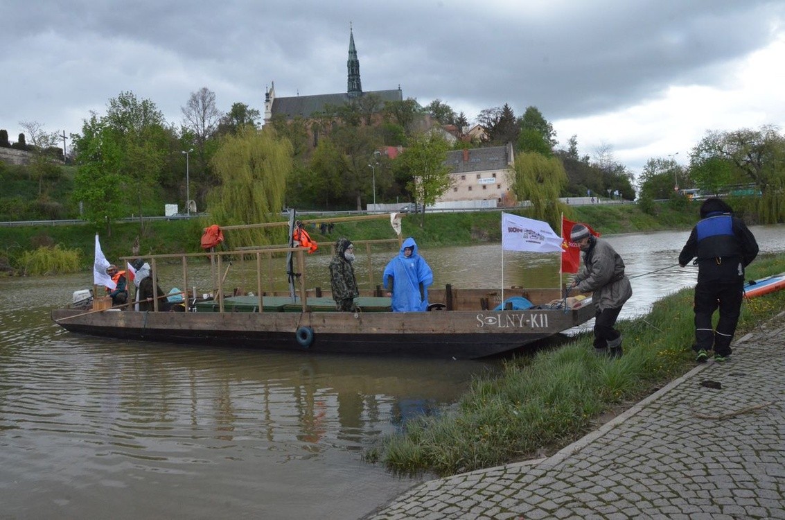 Galar płynie Wisłą do Gdańska